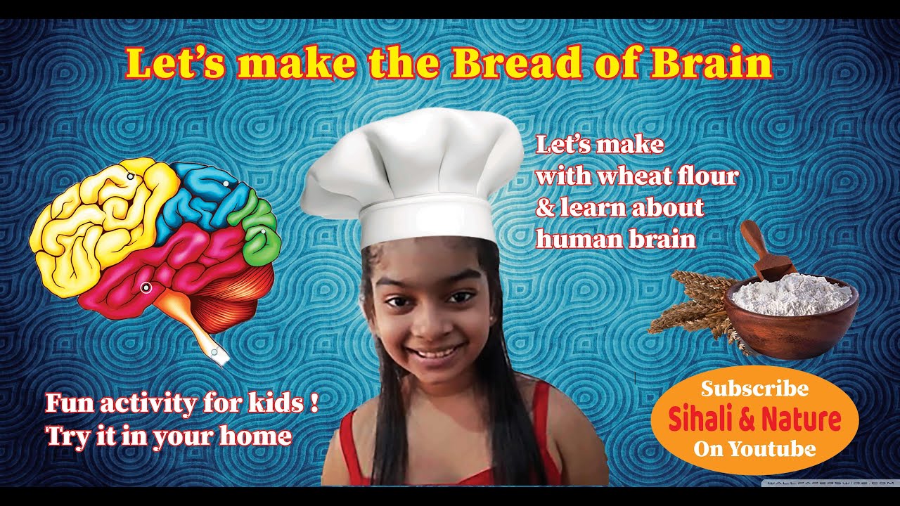 Kids activities to do at home. Making a brain model with wheat flour ...