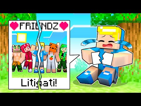 Gli AMICI Di SBRISER Hanno LITIGATO Su Minecraft!