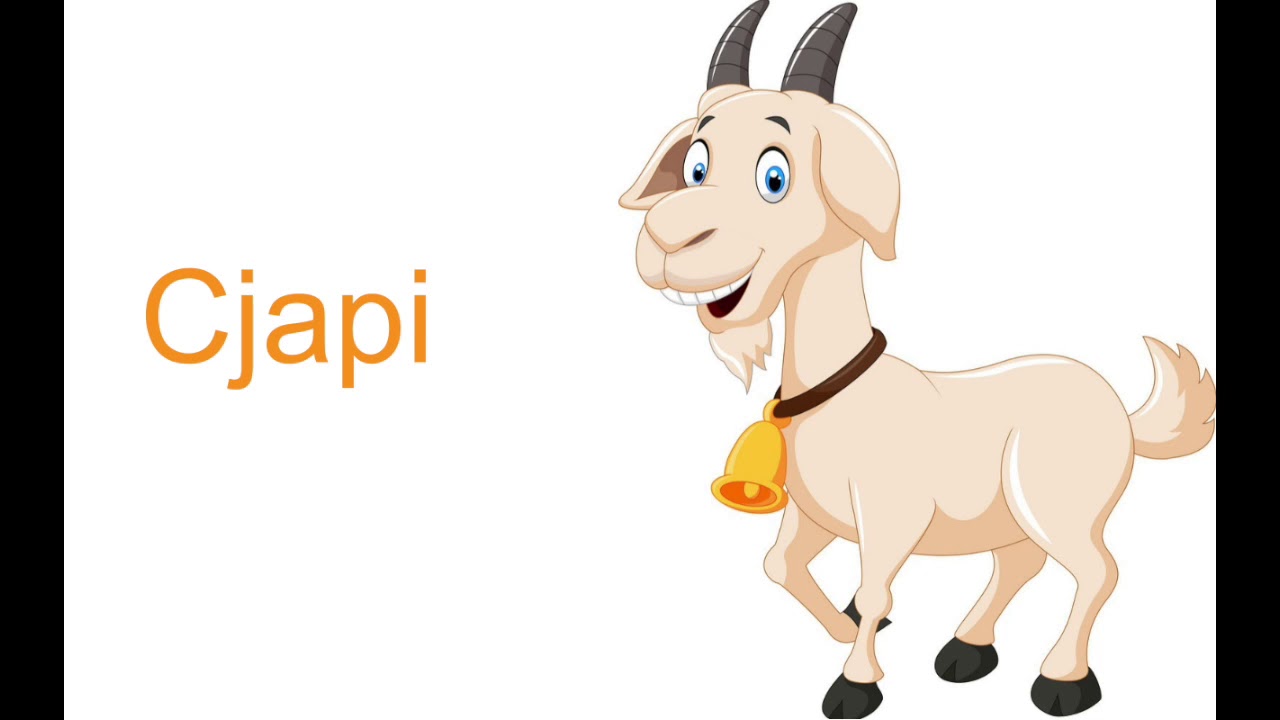 Alfabeti i Gjuhës Shqipe - Shkronja C - YouTube