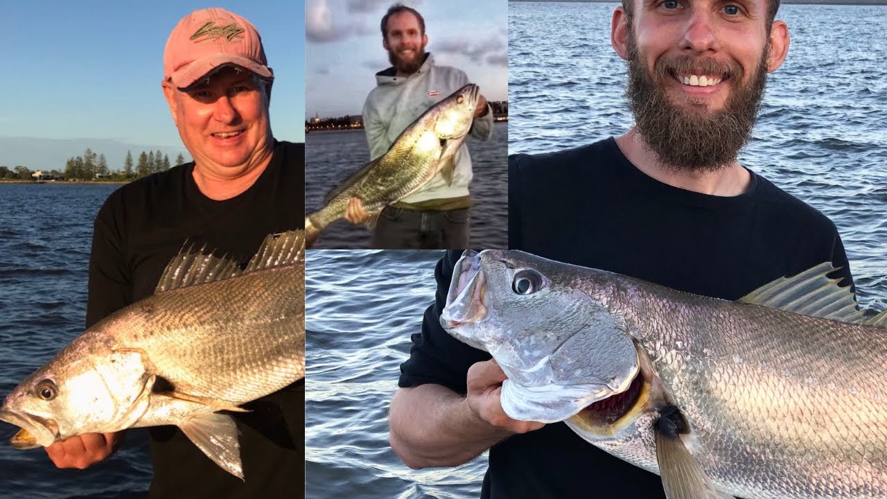 Live baiting Jewish, Hunter River Newcastle - YouTube