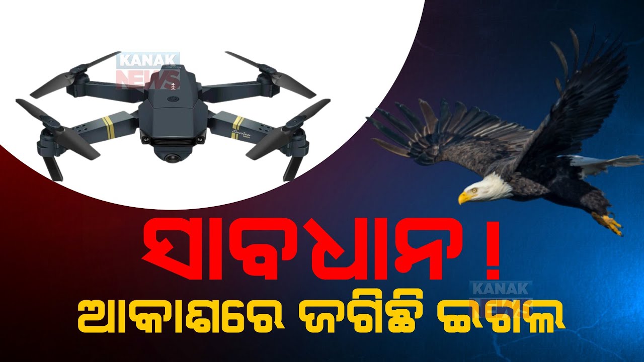 Reporter Live: Arjun, The Trained Eagle Induction In Indian Army To Destroy Enemy Drones - YouTube