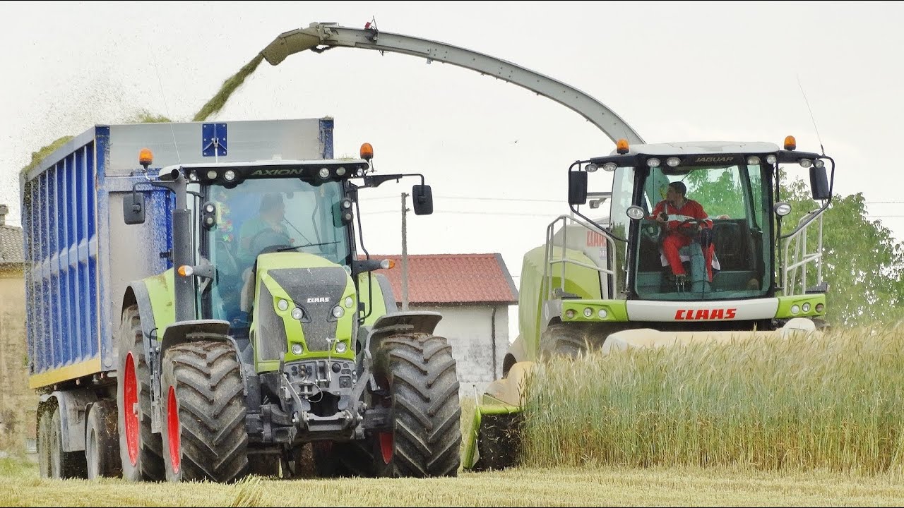 Triticale Silage | Claas Jaguar 950 + Direct Disc 610 | Claas Axion 850 ...