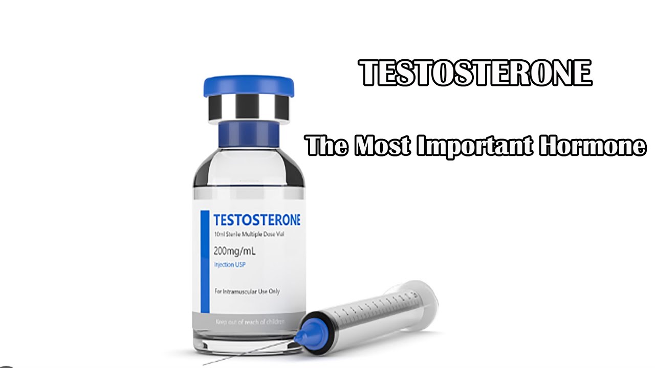 Testosterone Steroid Cycle for Beginners - YouTube