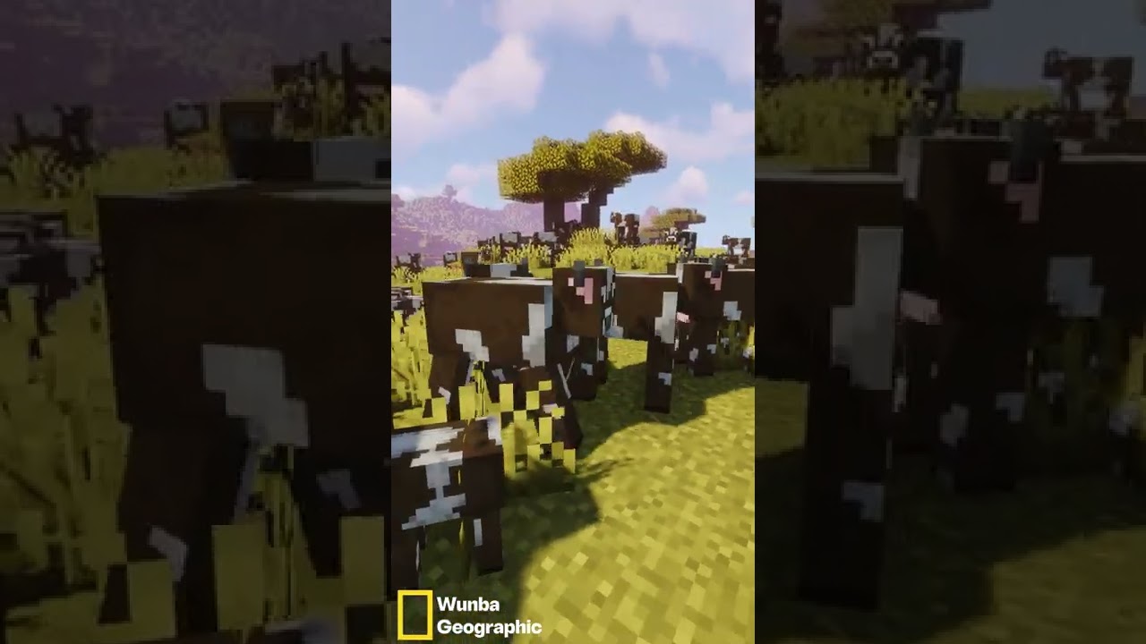 Wunba Geographic Ep 1 - The WARDEN - YouTube