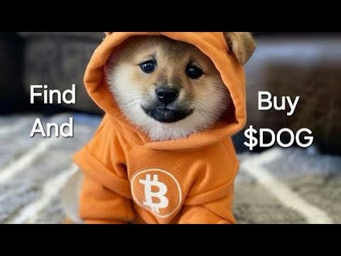 Where to Find and Buy $DOG | Bitcoin Meme Coin - YouTube