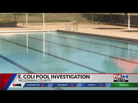 E.coli Pool Investigation