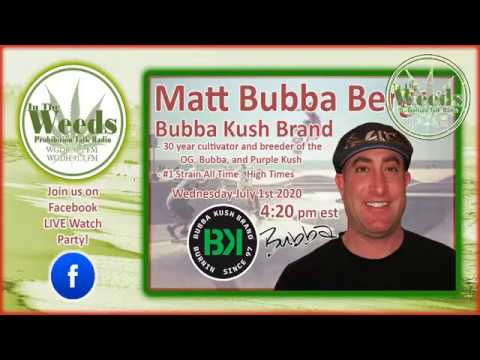 Matt Bubba Berger of Bubba Kush Brand and Cultivator of Og Kush, Bubba ...