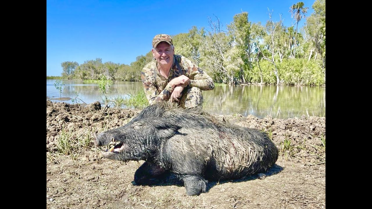 Chital Deer Hunting Queensland - A Week Of Unlimited Excitement - YouTube