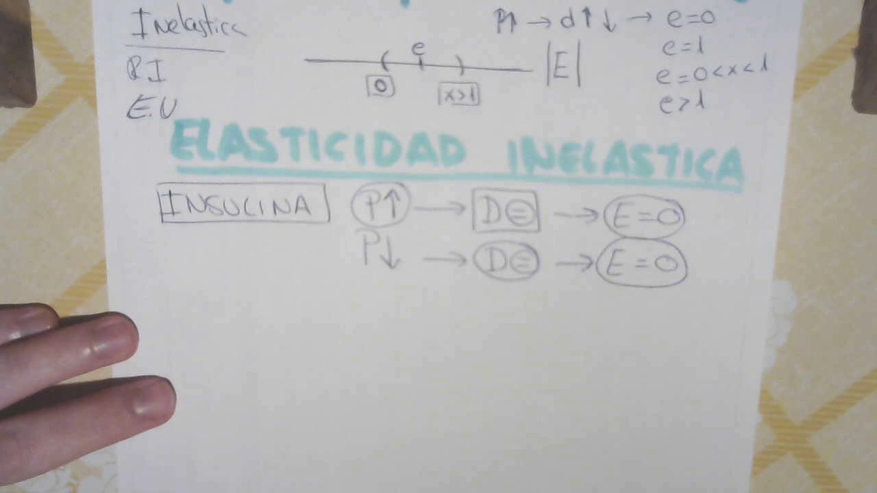 ELASTICIDAD INELASTICA - Microeconomia - YouTube