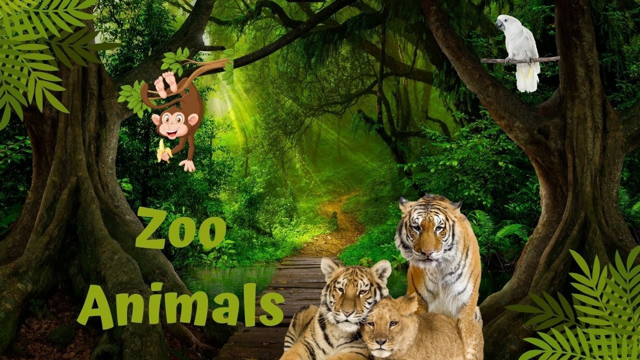 Zoo Animals - YouTube