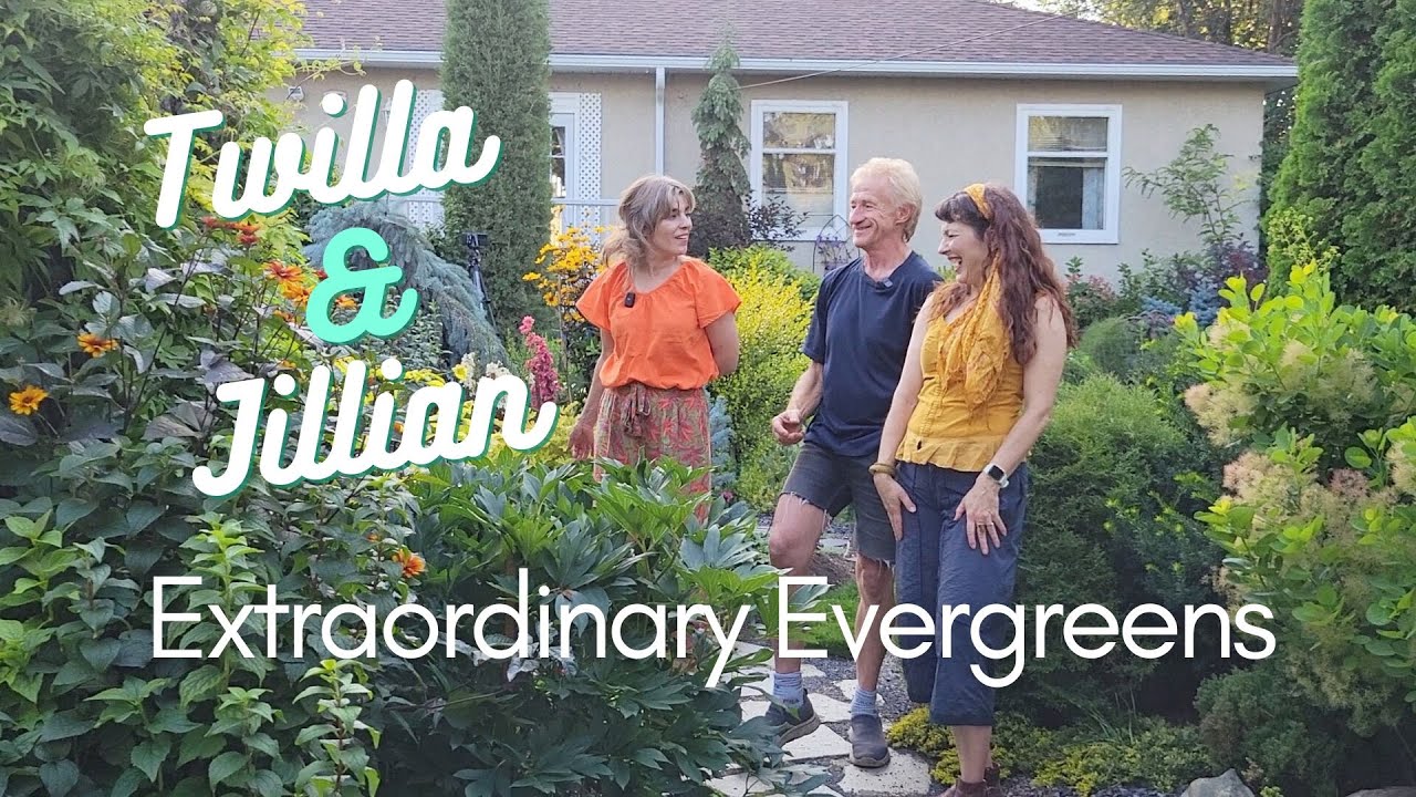 Twilla and Jillian 20 - Extraordinary Evergreens - YouTube