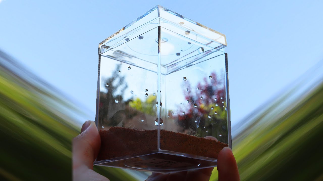 i made TINY Ant Farms - YouTube