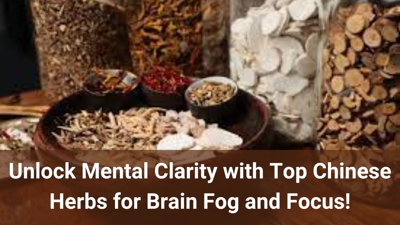 Unlock Mental Clarity with Top Chinese Herbs for Brain Fog and Focus ...