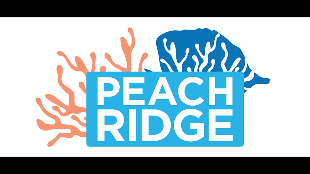 Peach Ridge Gameplay Trailer - YouTube