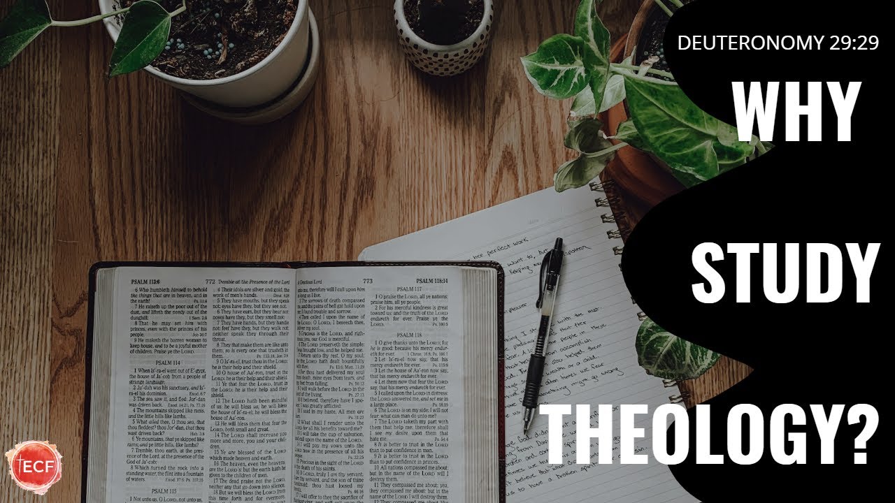 Why study theology - David Livie - YouTube