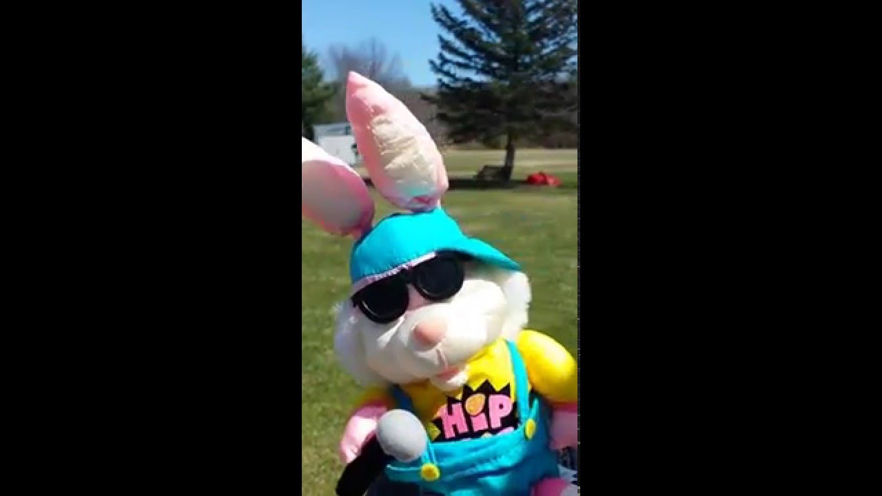 Hip Hop Bunny - YouTube