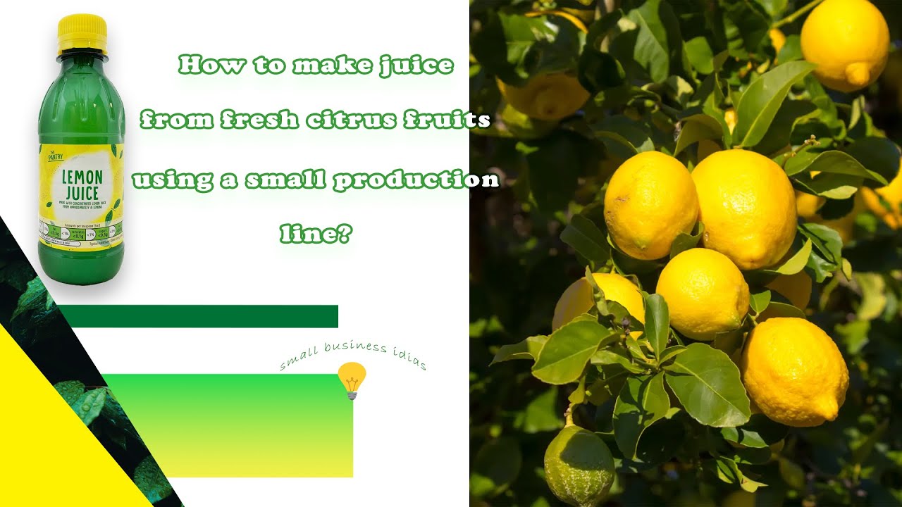 citrus fruits juice production line, how to produce lemon juice in a ...
