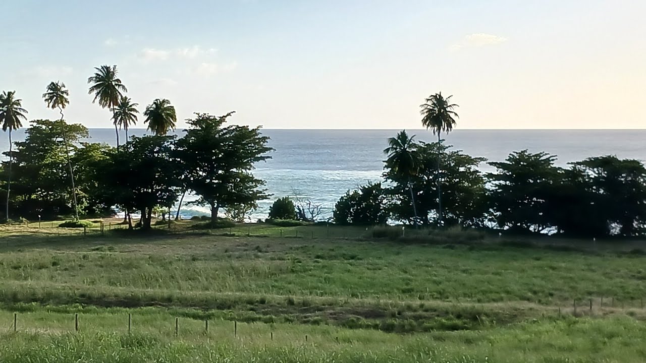 Visitando la reserva Tres Palmas, su playa "Steps" y el paseo ...