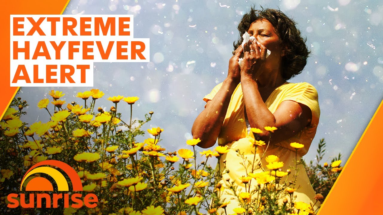 Hayfever warning with extreme pollen levels expected this week ...
