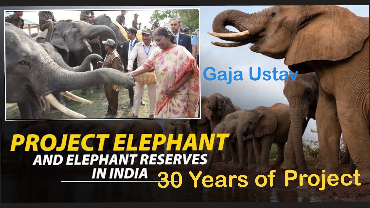 30 Years Elephant Project ,UPSC,Group 1 & 2 - YouTube