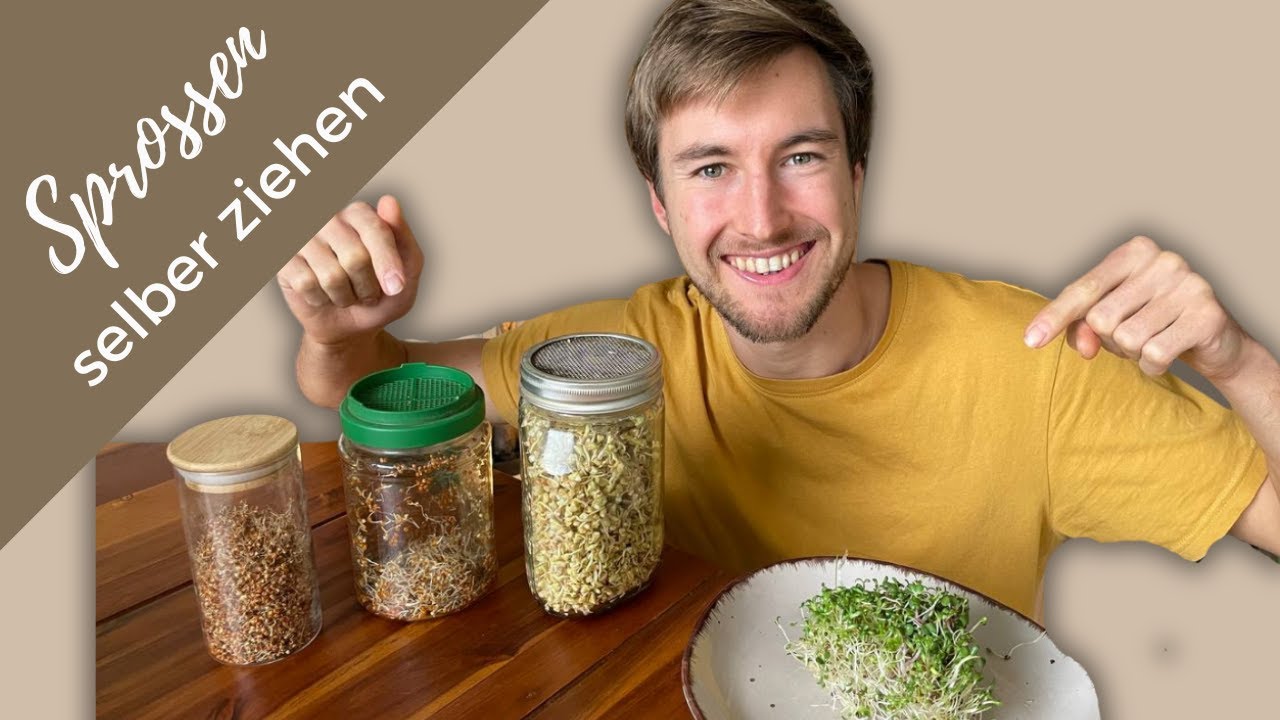 Sprossen einfach selber ziehen | Keimlinge und Mikrogrün, Tipps zum ...