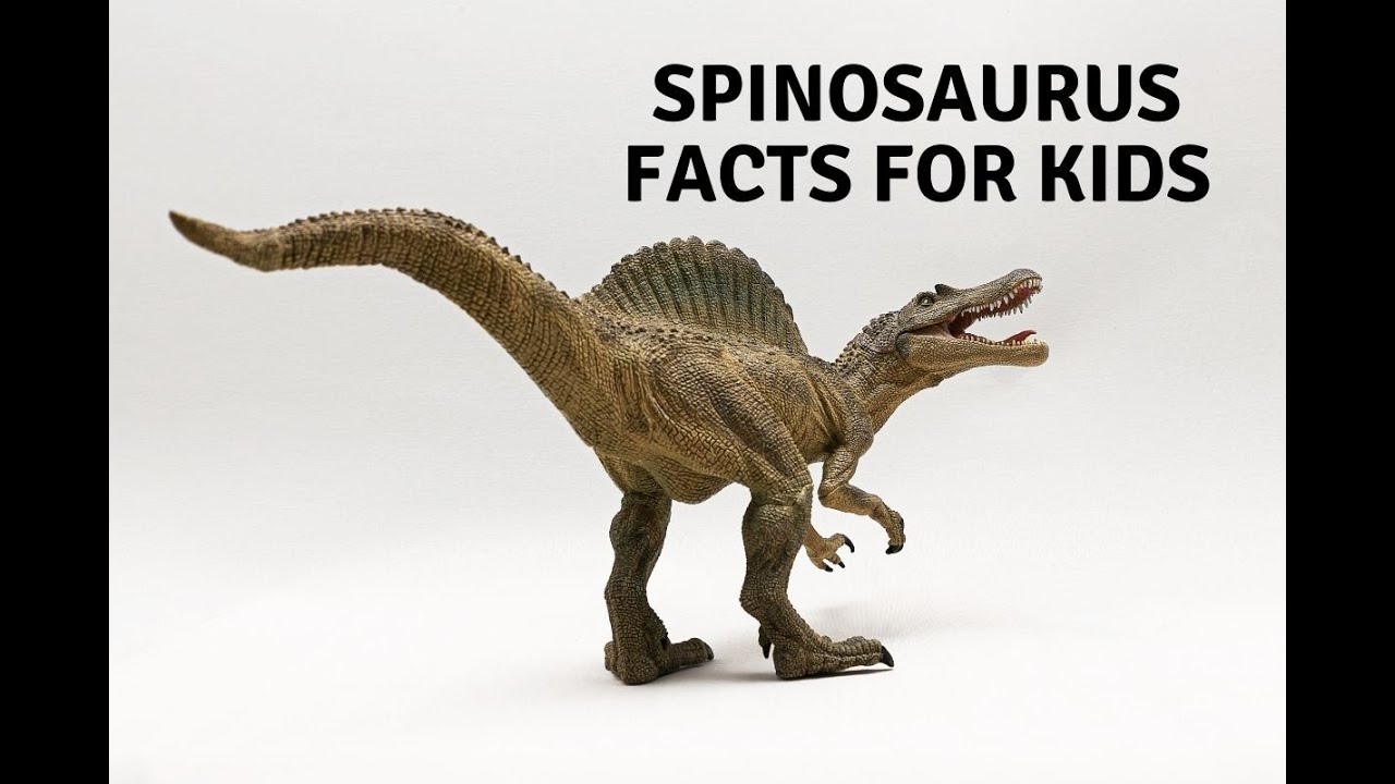 Spinosaurus Facts for Kids - YouTube