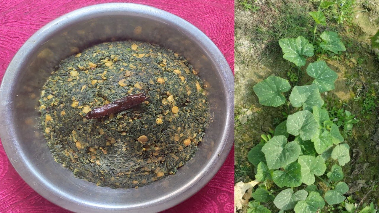 Kaddu Leaves Fry Recipe - YouTube