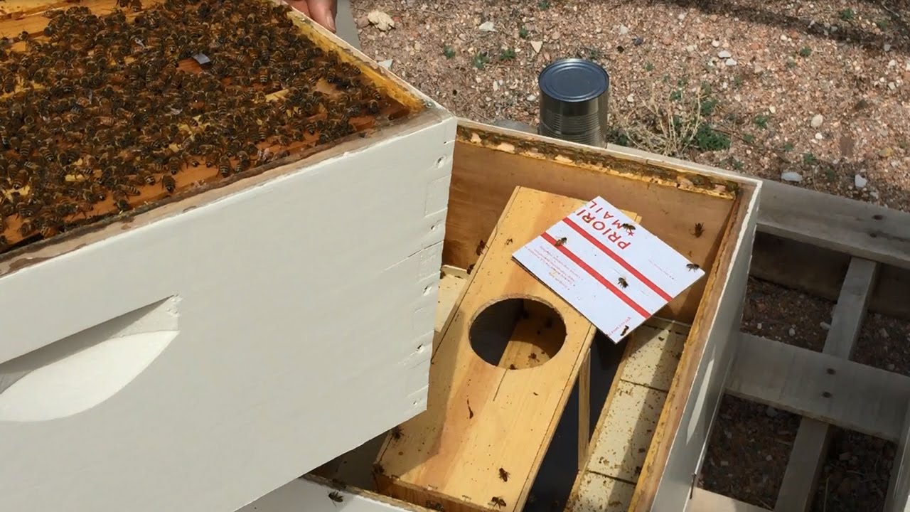 Part 2 Finalizing Package Installation - YouTube