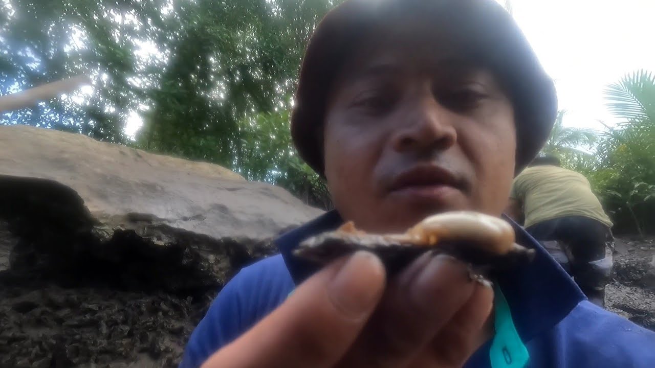 TALABA OR OYSTER||Dito samin nasa tabi tabi lang ang talaba panoorin # ...