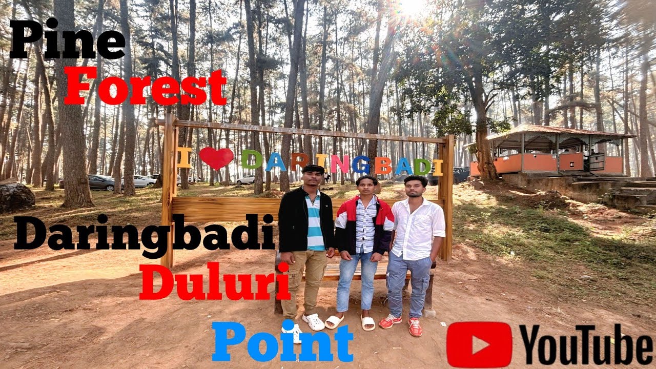 Pine Forest || Daringbadi Duluri point || Daringbadi Picnic Spot ...