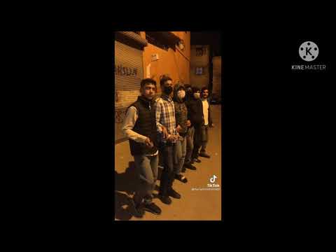 tik tok yeni akim ( kurtlar vadisi halay remix)