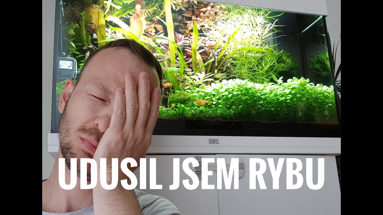 AKVARISTA ZAČÁTEČNÍK 16. - pH controller SAGA - YouTube