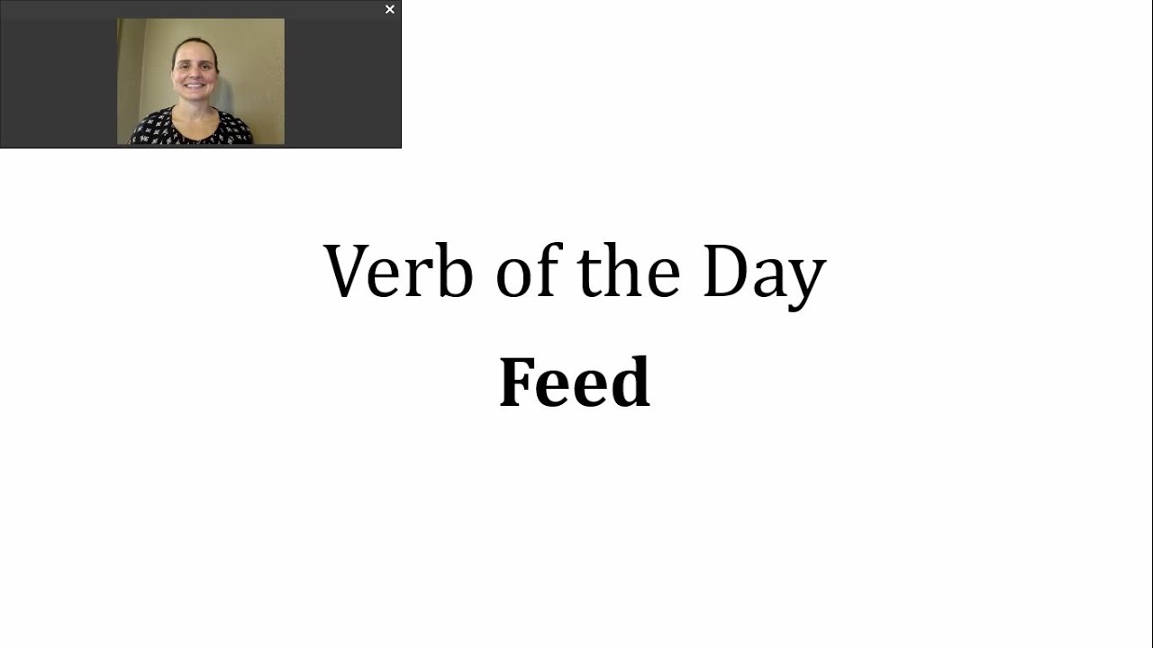 Verb of the Day - Feed - YouTube