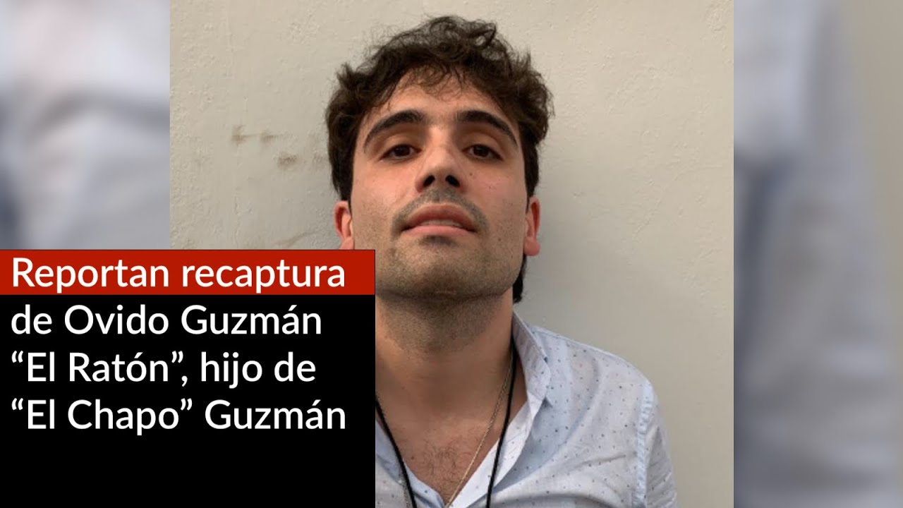 Recapturan a Ovidio Guzmán | Recopilación de videos - YouTube