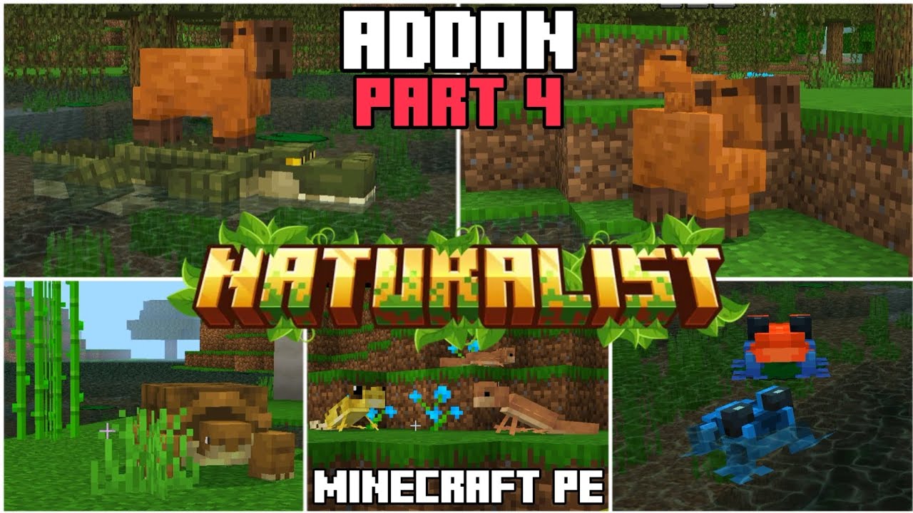 🐊NATURALIST ADDON for BEDROCK | MINECRAFT PE (PART 4) #addon - YouTube