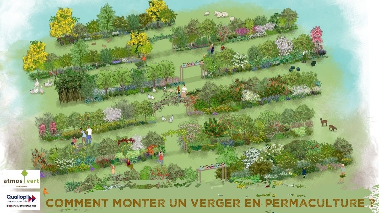 Comment monter un verger en permaculture ? - YouTube