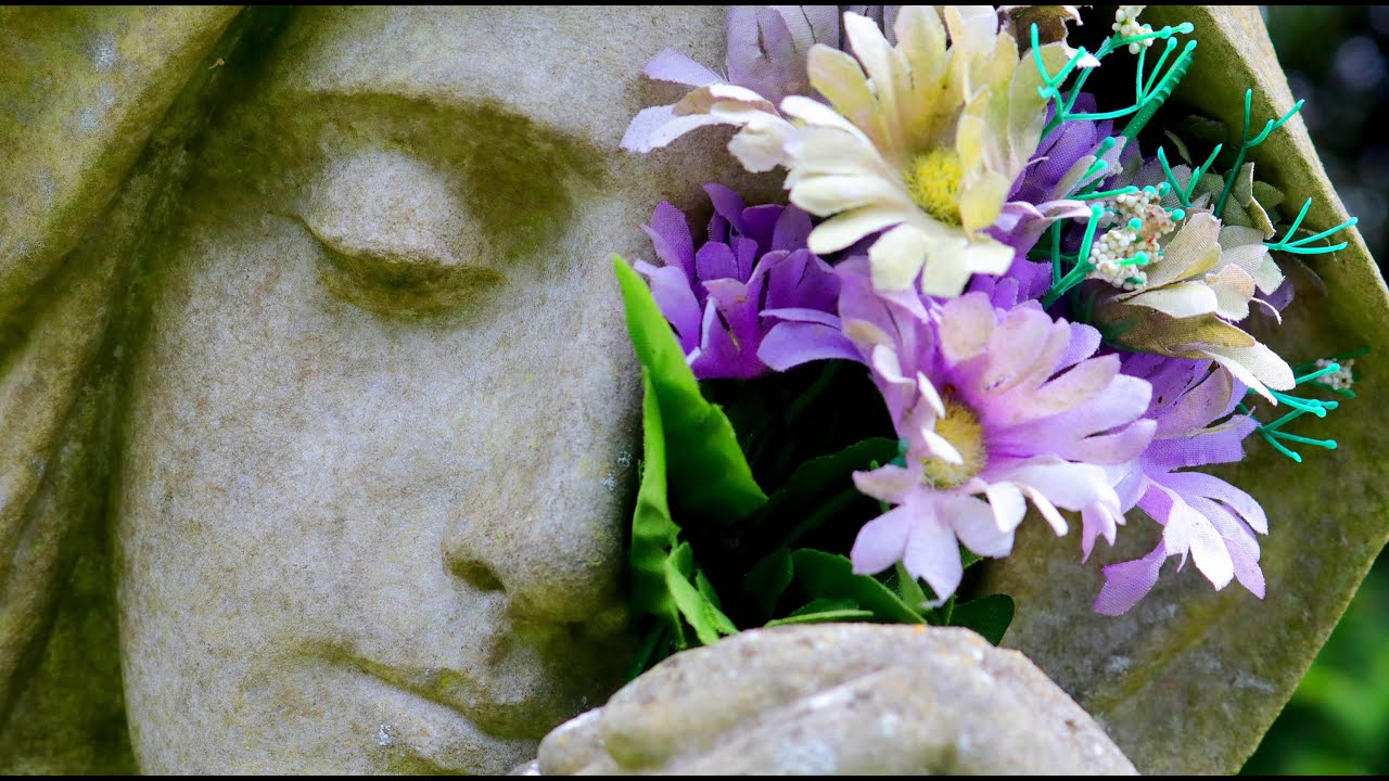 A walk through the St Pancras and Islington Cemetery - YouTube