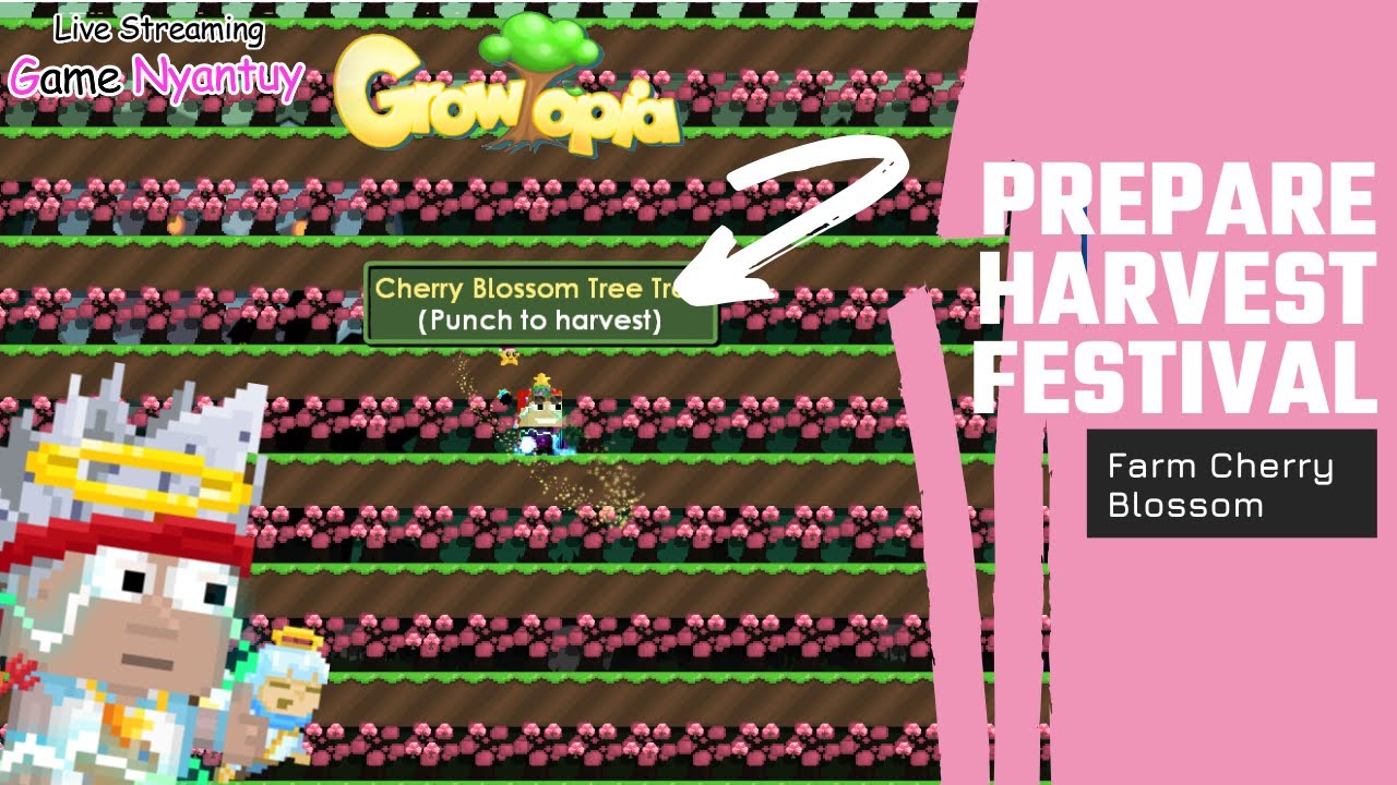 Farming Cherry Blossom, Persiapan Harvest Festival~ LIVE GROWTOPIA ...