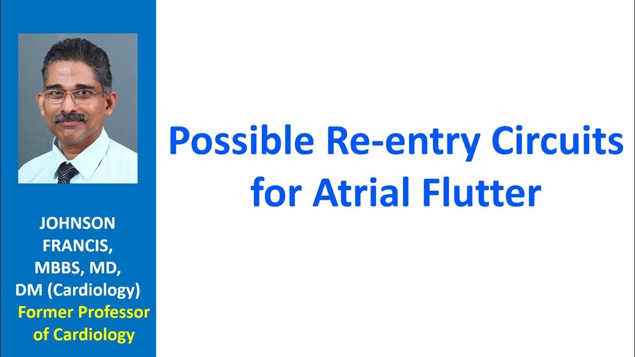 Possible Re-entry Circuits for Atrial Flutter - YouTube