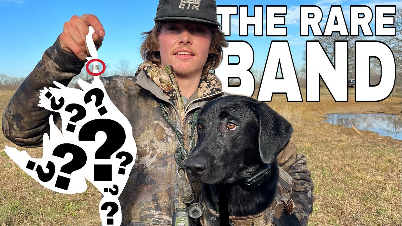 Duck Hunting | The RARE Band | Overlap outdoors | Waterfowl Hunt - YouTube