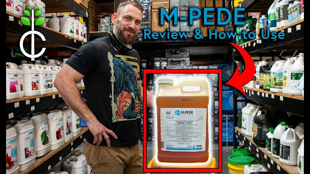 M-PEDE Pesticide Review and How to Use #garden #gardening #homegarden # ...
