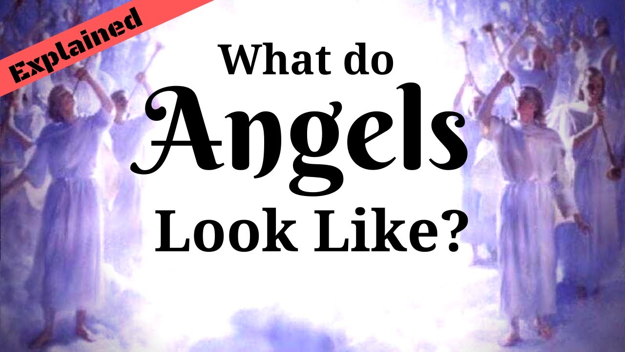 Angelic Creatures in the Bible - Explained! - YouTube