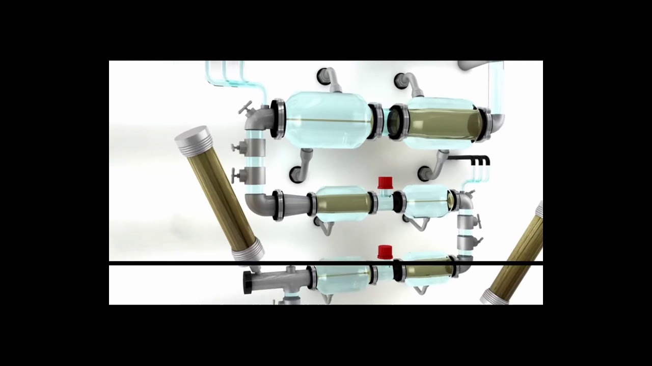 Dynamic in vitro Digestion - YouTube