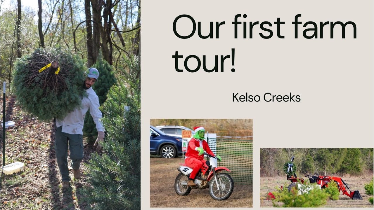 Christmas Tree Farm Tour #1 - YouTube