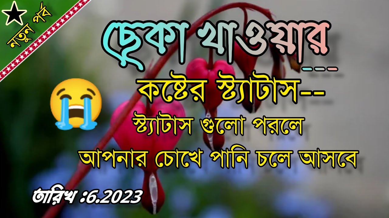 cheka khaoyar koster status-ছ্যাকা খাওয়ার কষ্টের স্ট্যাটাস--- চোখে ...