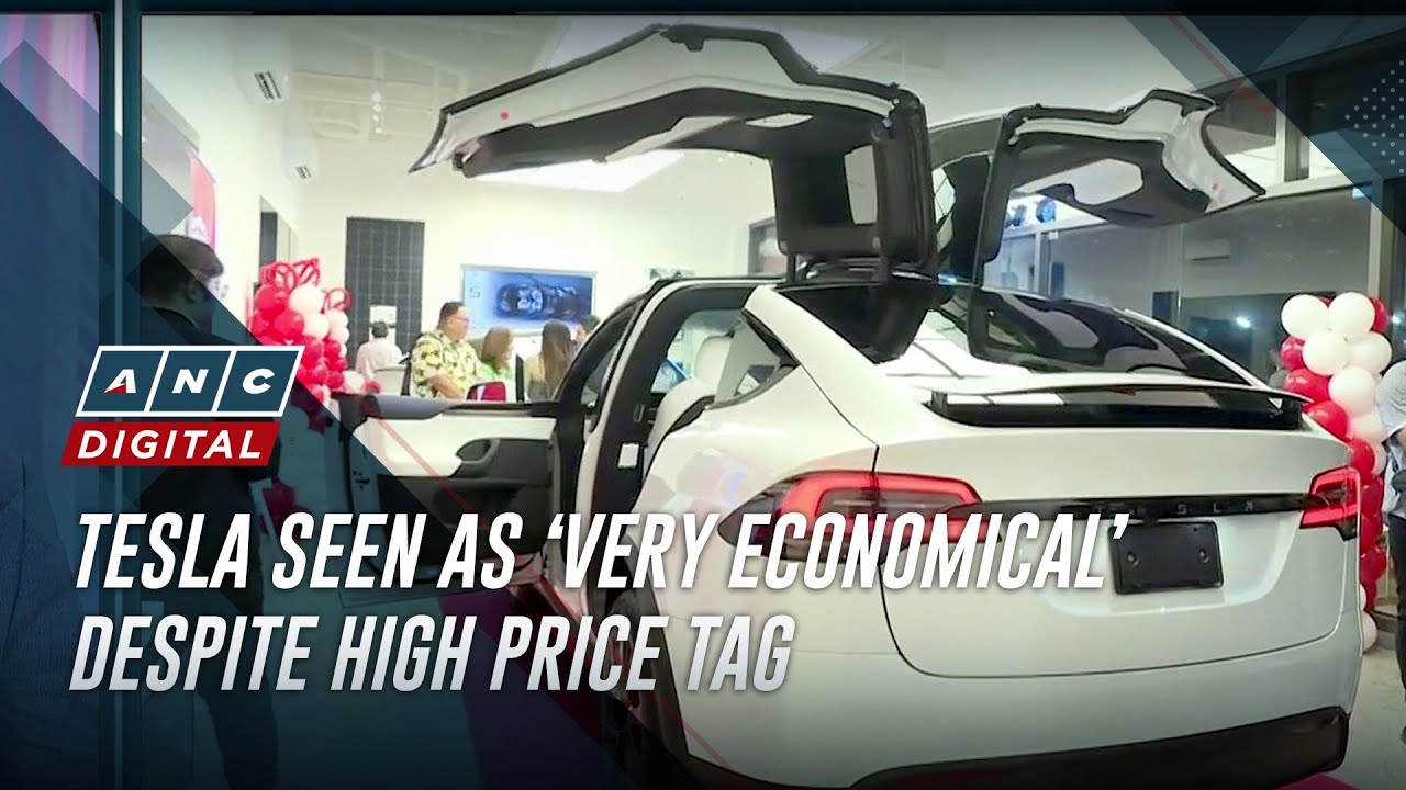 Tesla seen as ‘very economical’ despite high price tag | ANC - YouTube