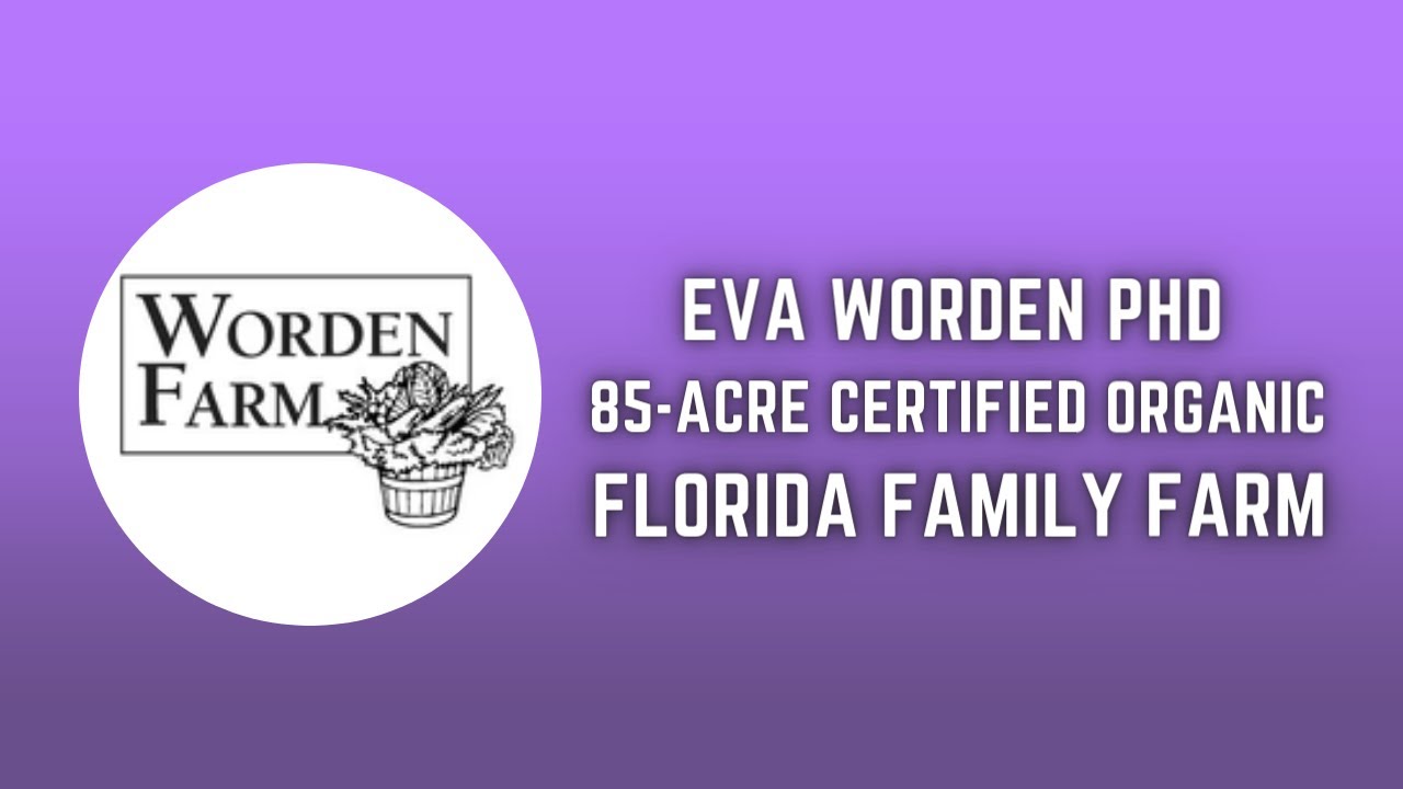 From Farm to Table: Exploring Florida's Organic Oasis - YouTube