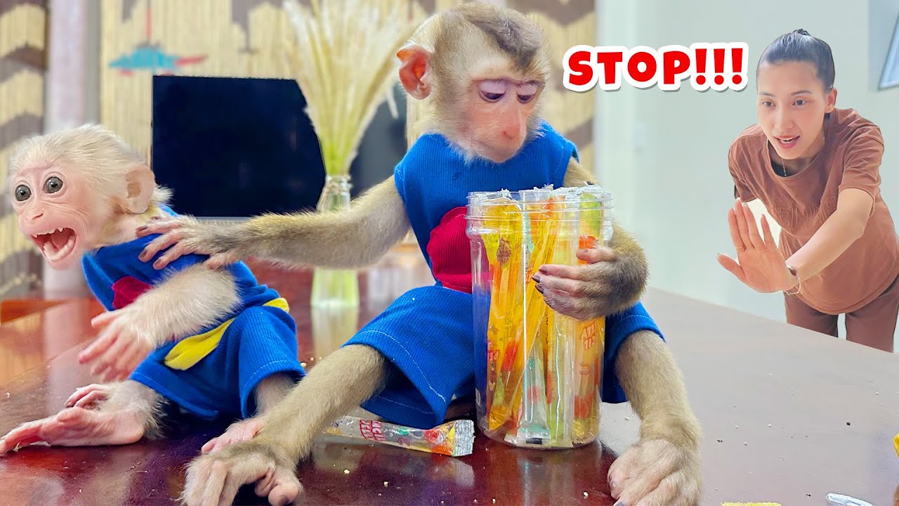 Unexpectedly PiPi and TiTi did this - YouTube