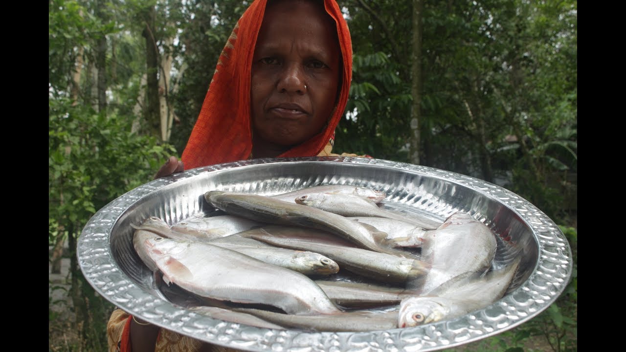 Village food Clown knife fish curry recipe | Foli macher jhol ranna ...