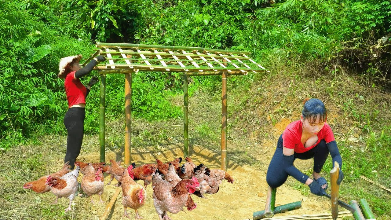 Building a Bamboo Chicken Coop with My Own Hands - Escaping to Calm ...